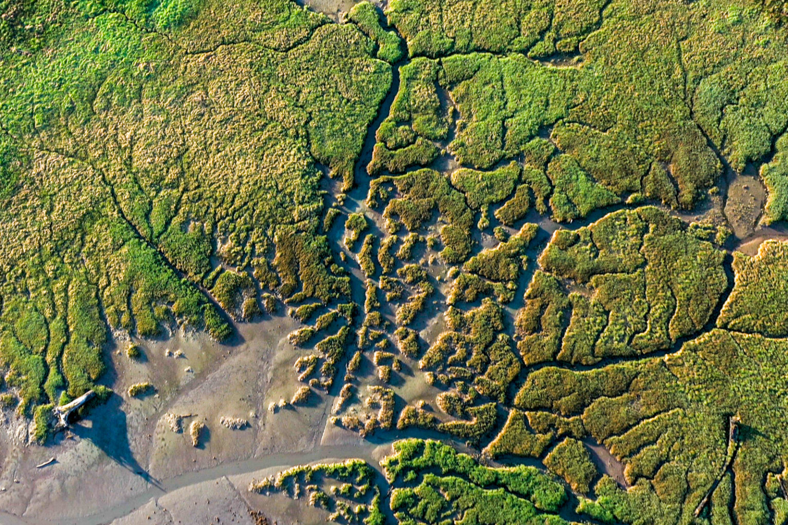 About | Estuary Resilience