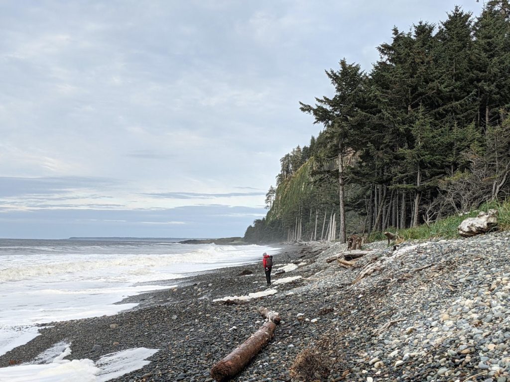 Enhancing Estuary Habitat & Sustaining Coastal Wildlife | Estuary ...