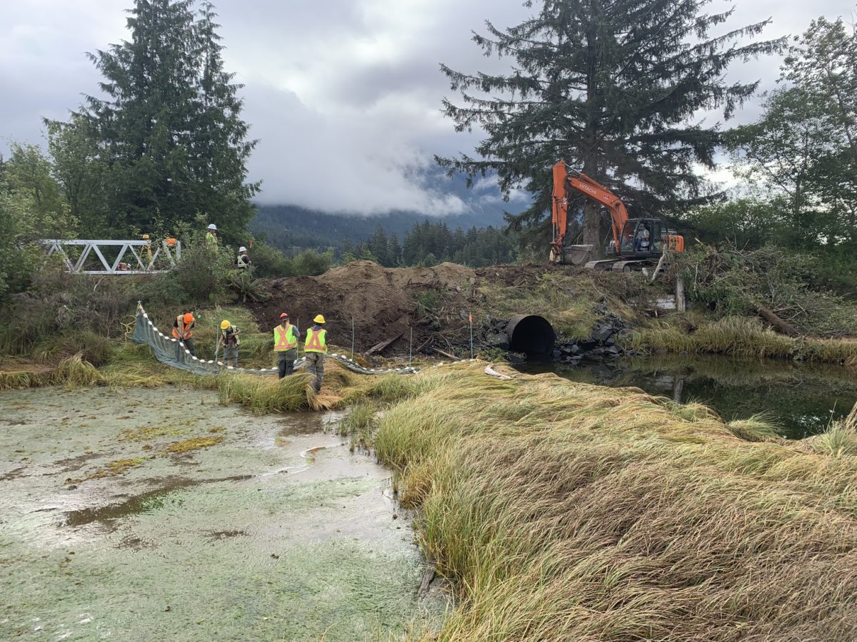 Restoring the Salmon River Estuary | Estuary Resilience