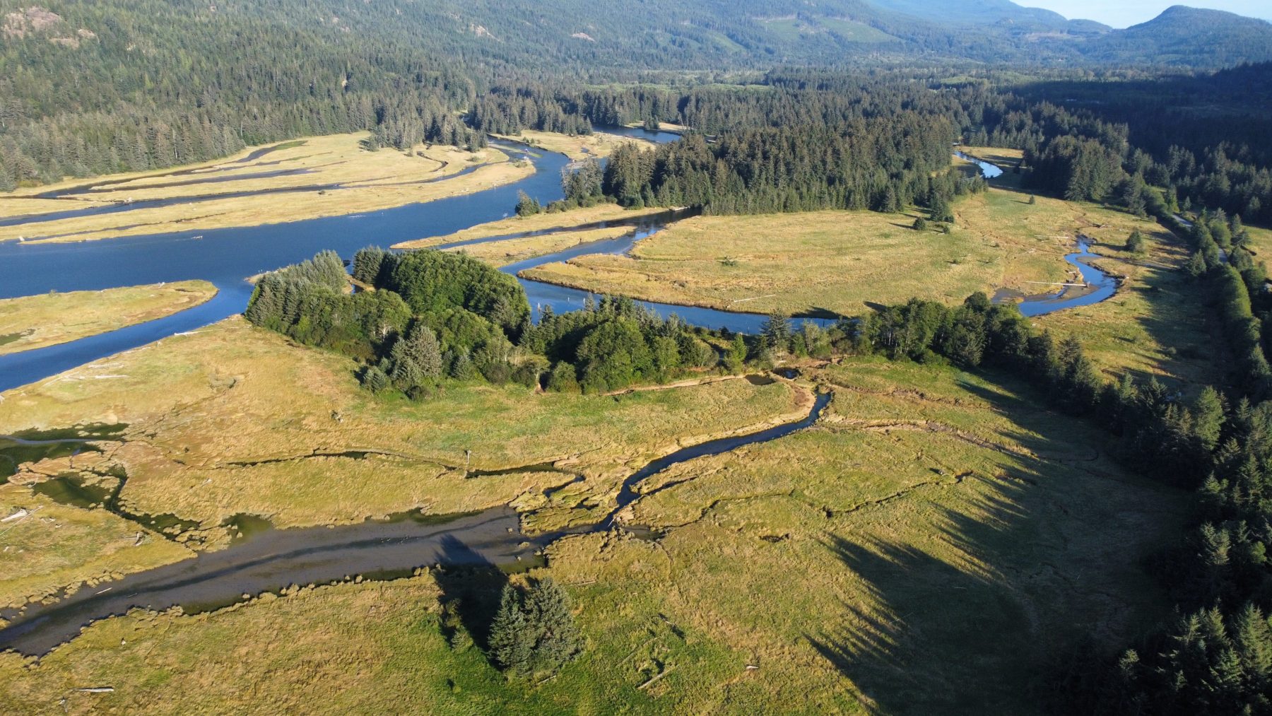 Restoring the Salmon River Estuary | Estuary Resilience