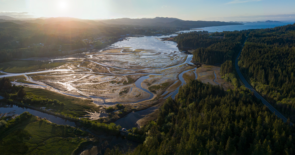 Enhancing Estuary Habitat & Sustaining Coastal Wildlife | Estuary ...